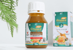 Mengenal Vitagerd: Manfaat dan Penggunaan Obat - AleroDesign